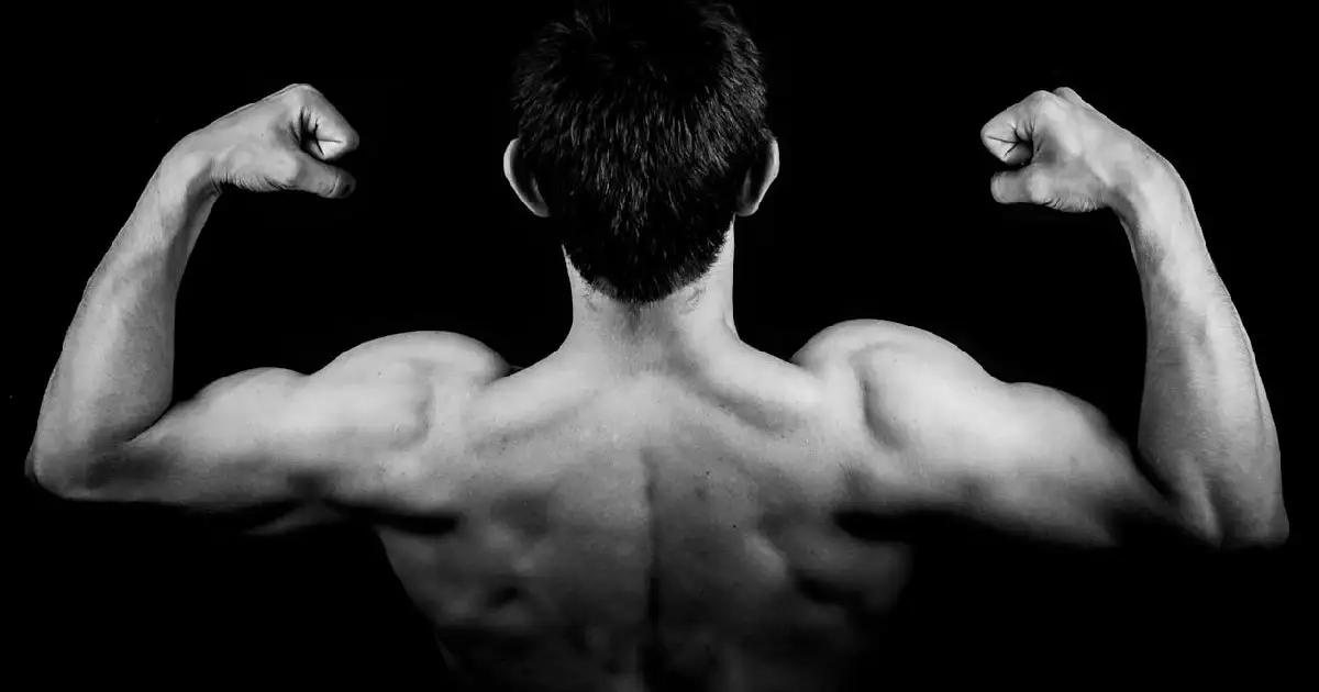 How to Build Bigger Biceps at Home Without Weights – Gym Tim